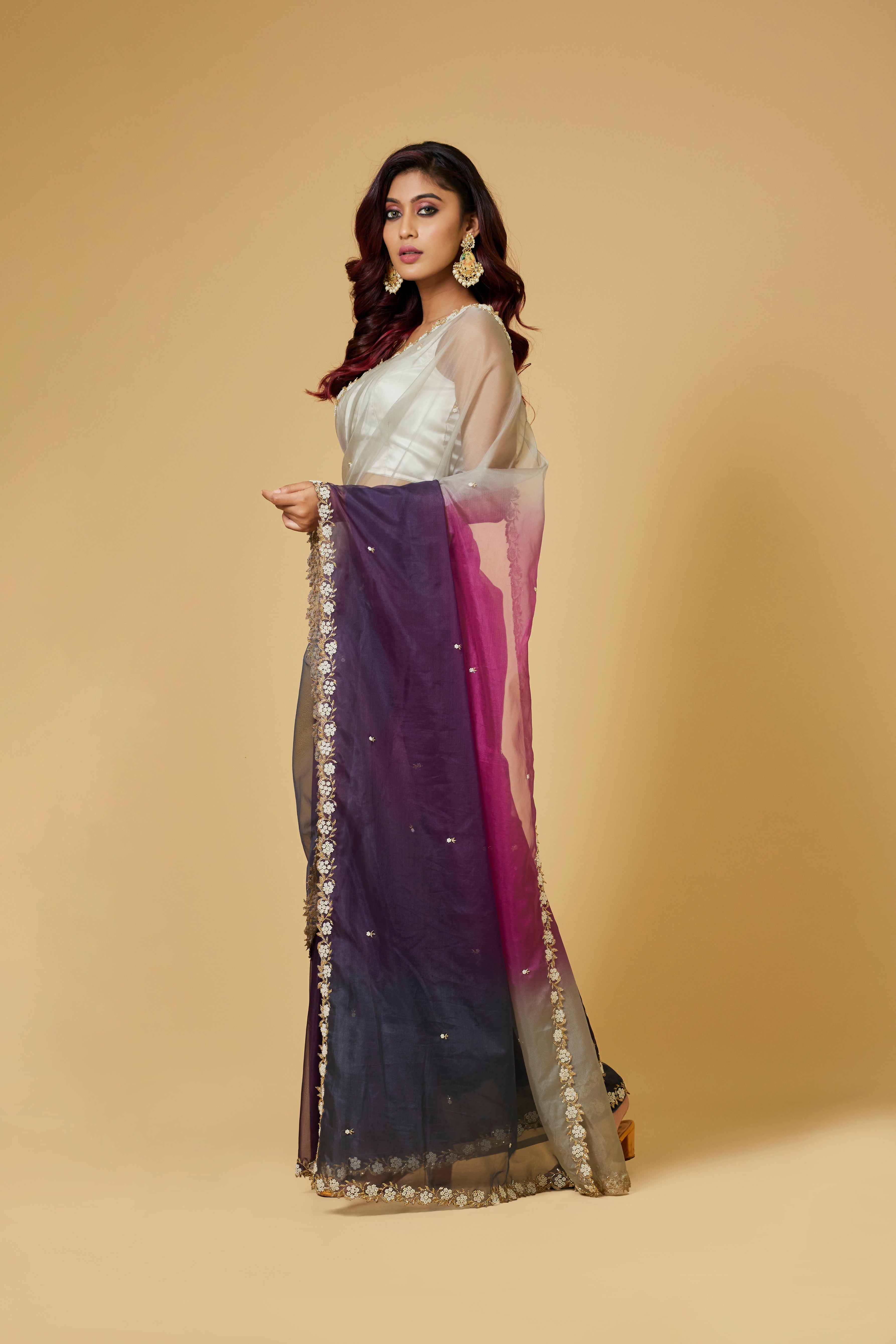 4D Shaded Organza Saree – Aparnaa Sarees